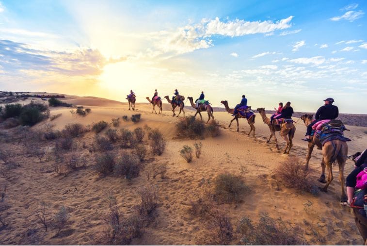 Best Things to Do in Rajasthan | Activities in Rajasthan - Club Mahindra